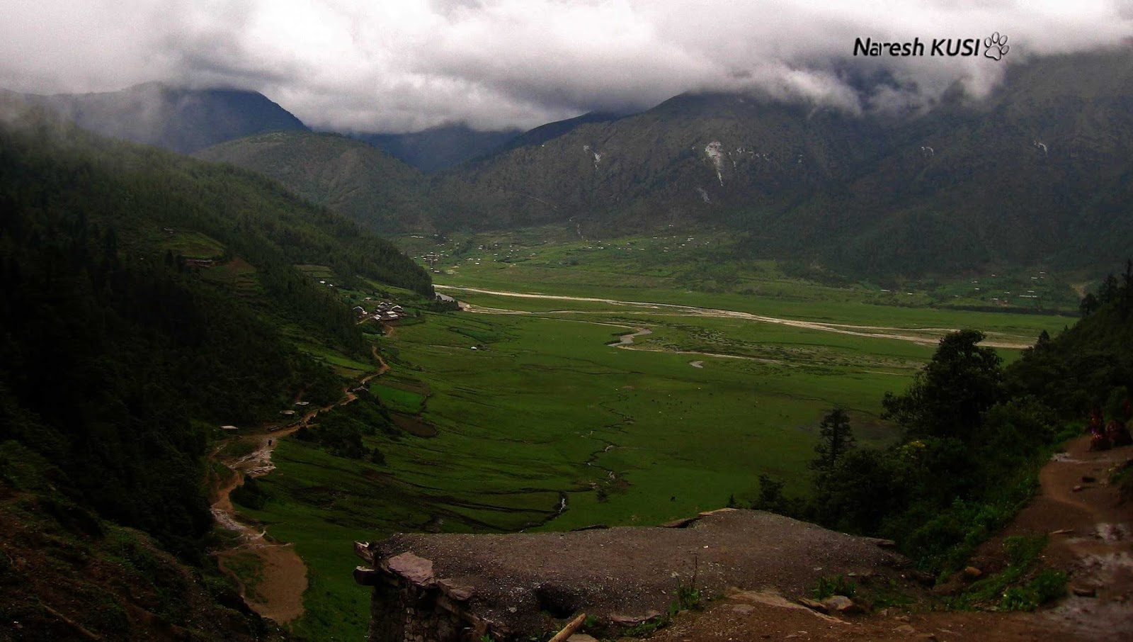 Nature and Wildlife: A SHORT TRIP TO DHORPATAN VALLEY