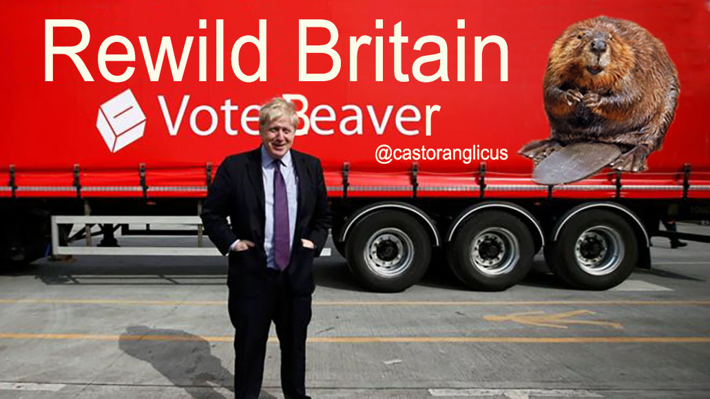 Peter Smith: #voterbeaver – a plague on both Britain & Europe