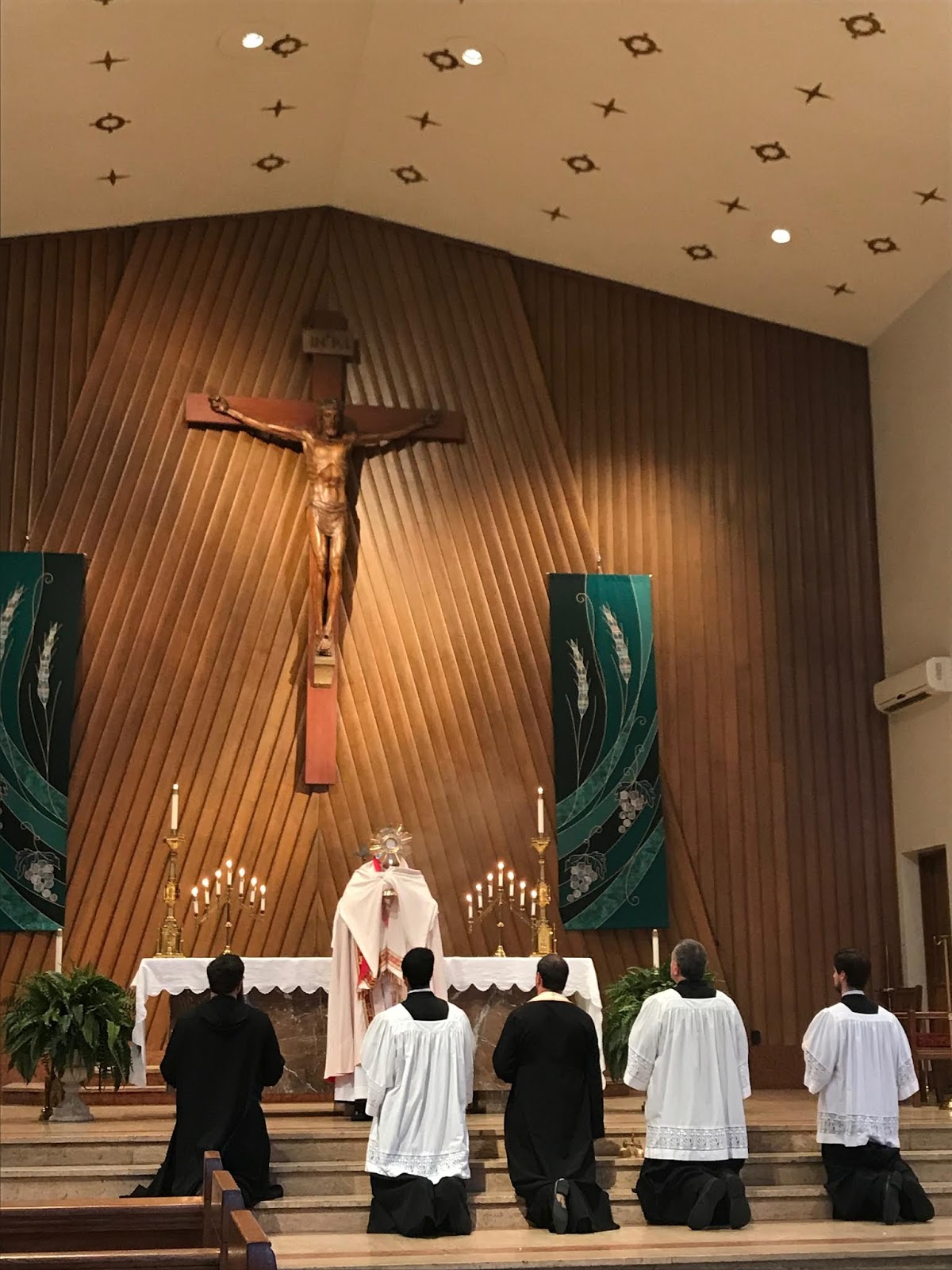 Knights of Columbus Latin Mass: Report: Eucharistic Procession, 15 July ...