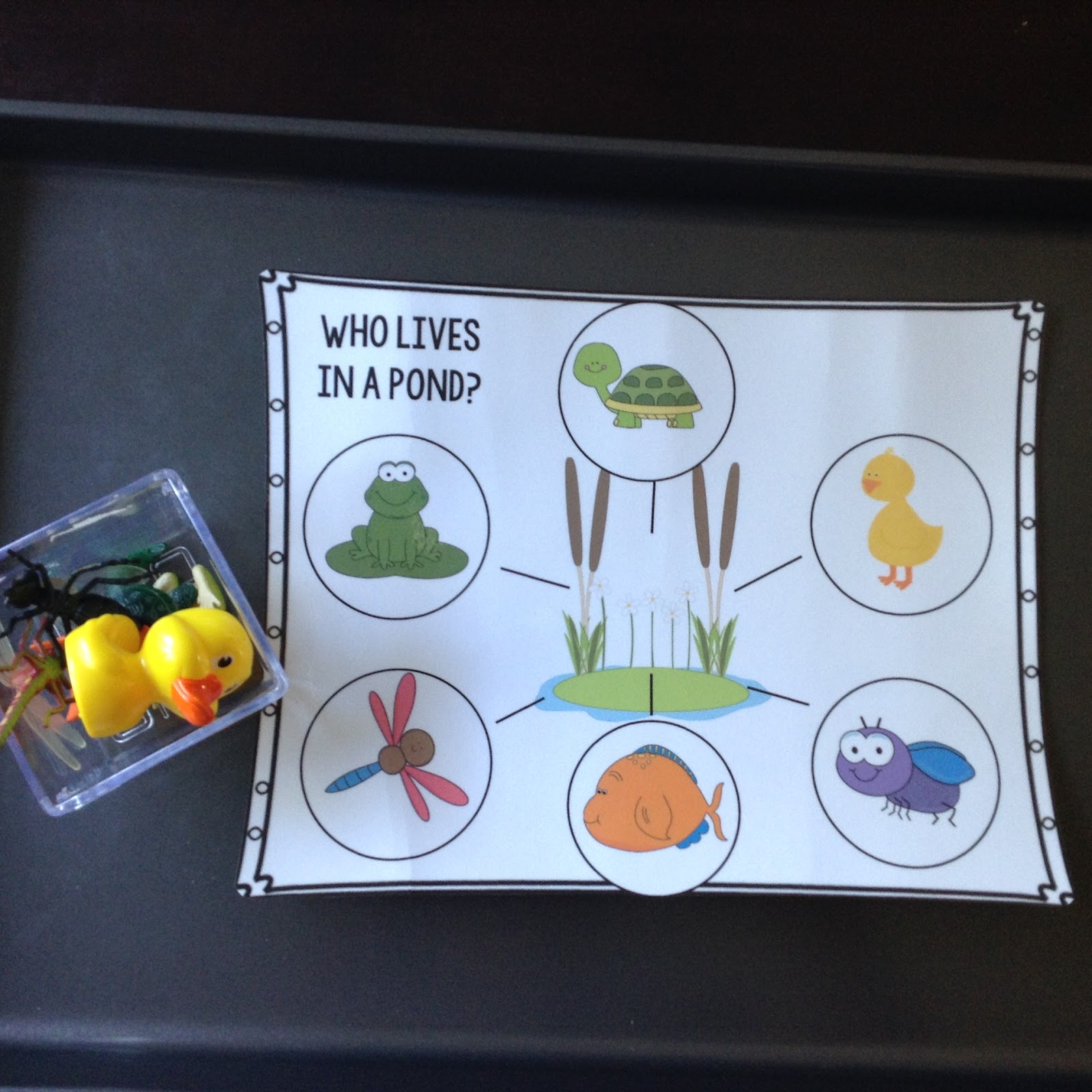 TeacherMomPlus3: Preschool Letter T Activities!