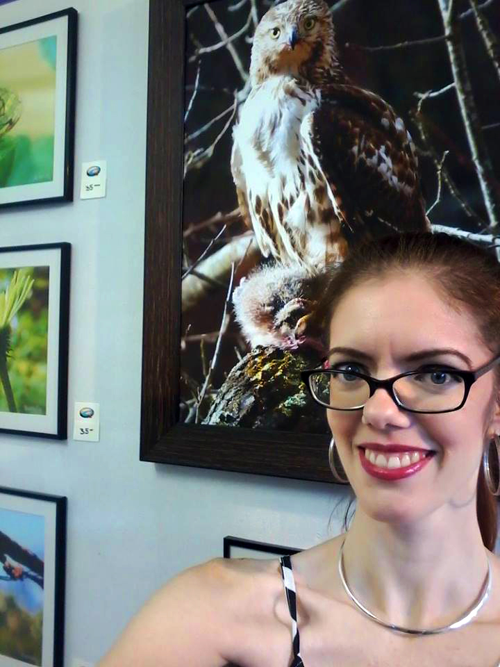 Aviation Art of Ron Cole & Cole's Aircraft: Ron Cole's Art Gallery in ...