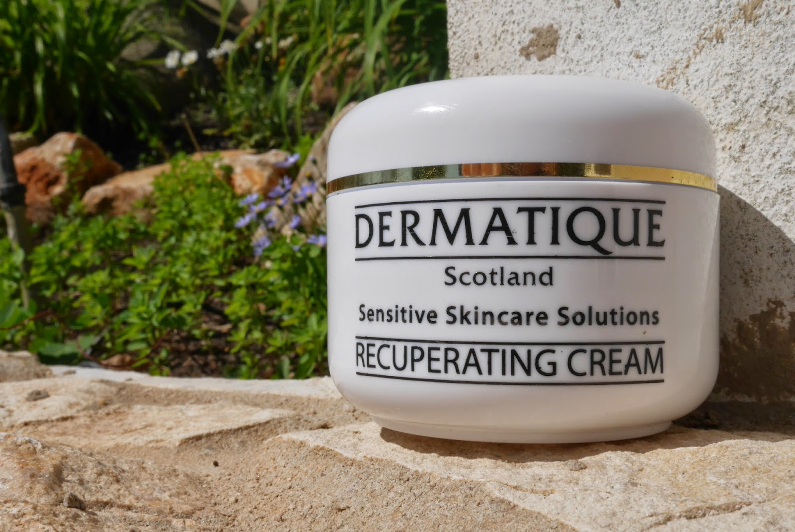 Review : Dermatique recuperating cream - This day I love.......