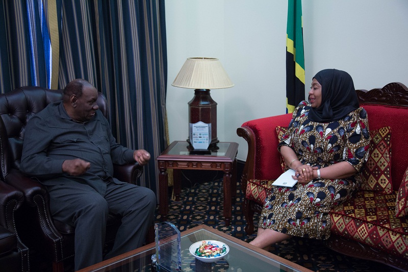 MAMA SAMIA AFANYA MAZUNGUMZO NA WASSIRA, LEO JIJINI DAR ES SALAAM - CCM ...
