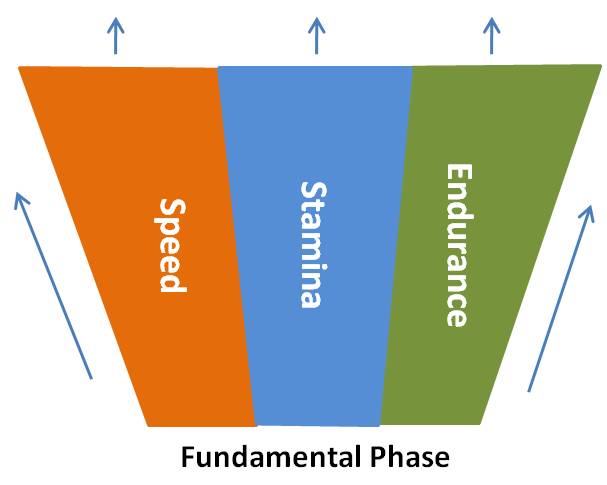 Maximum Performance Running: Chapter 9: The Fundamental Phase