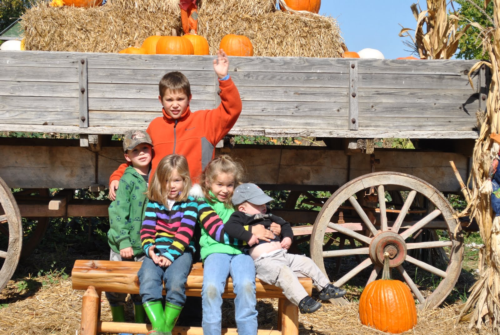 The Ramblings of Carmom: Fall Time Fun