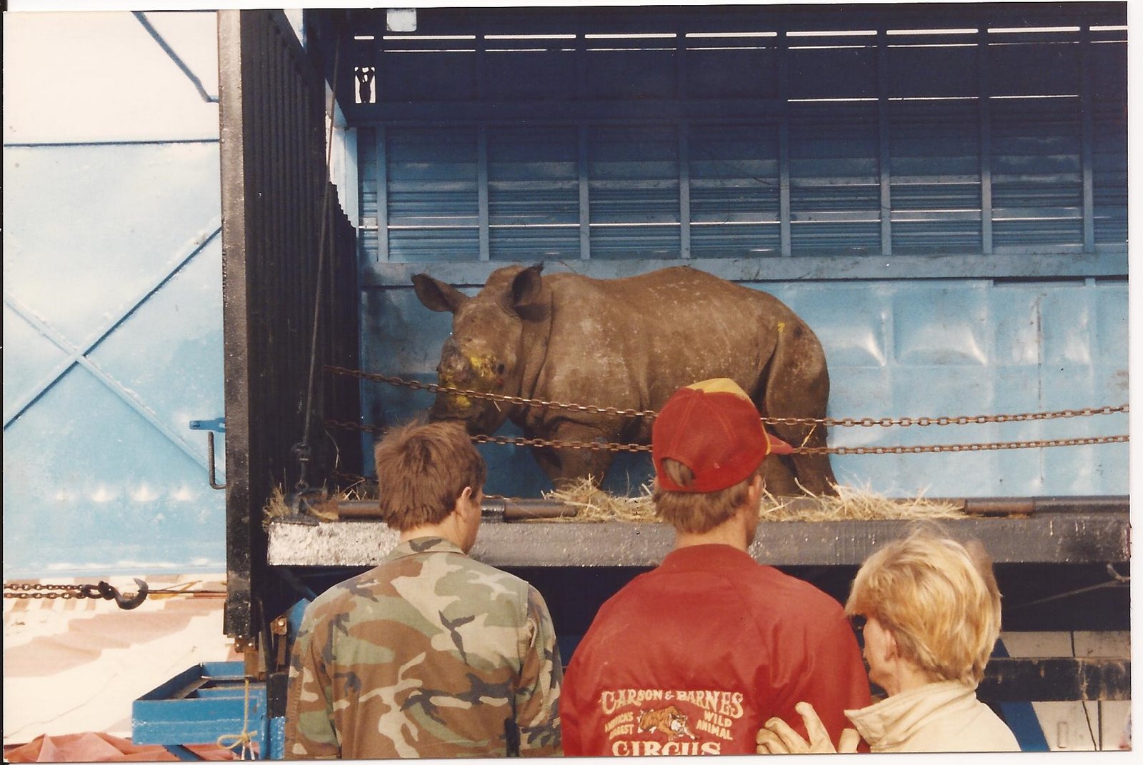 THE BALLOON MAN: 2011-11-27