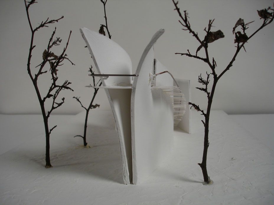 Nuovo Design - Arquitectura Interior: Interiorista DAAN MULDER