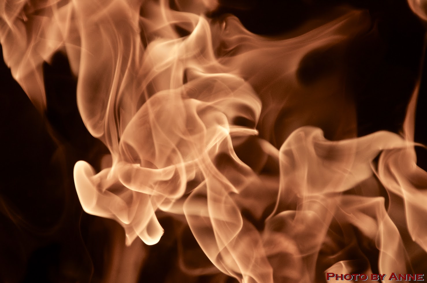 My Photos by Anne: Photos: Same Fire, Different Ways