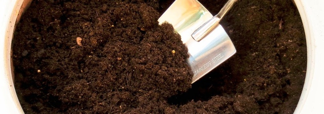 Creative Ideas for everyone: Lovely flowers thanks to ...tea