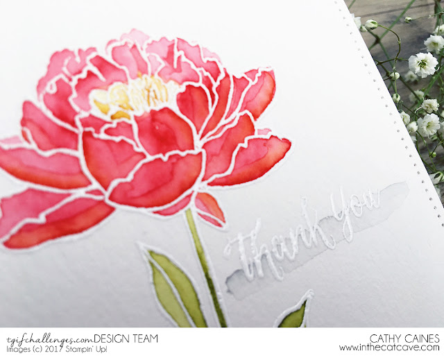 In The Cat Cave: Thank You Bibi | #tgifc96