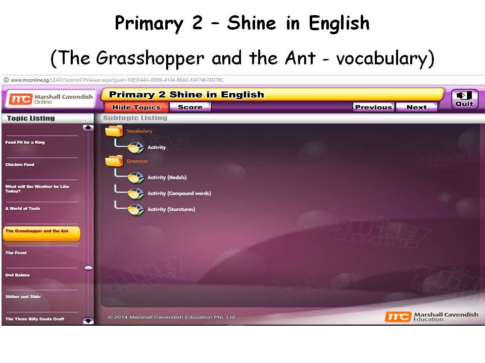 P2A Class Blog: MC Online Activities