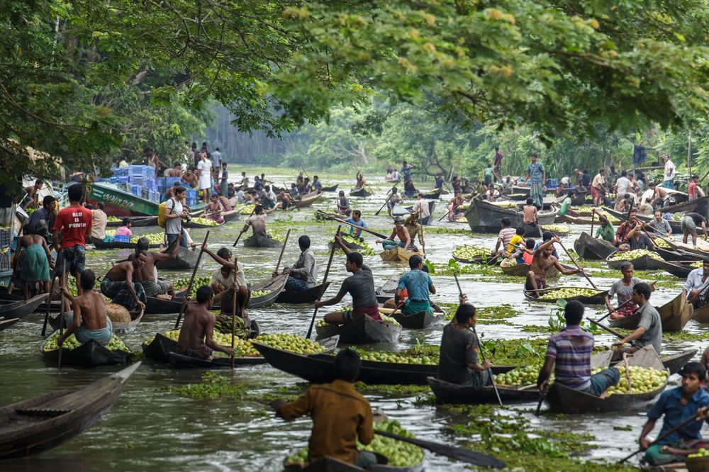 Gazette Update: Vimruli Guava Market: The only floating market in ...