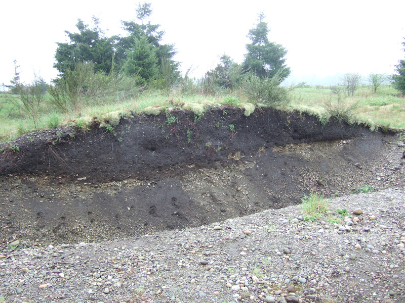 Reading the Washington Landscape: Mima Mound Cross-Sections