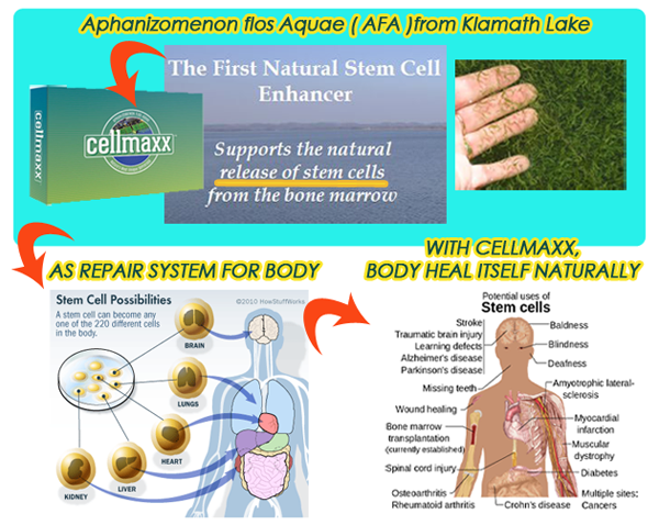 Cellmaxx sumber kesehatan manusia: Sembuh spontan dengan cellmaxx