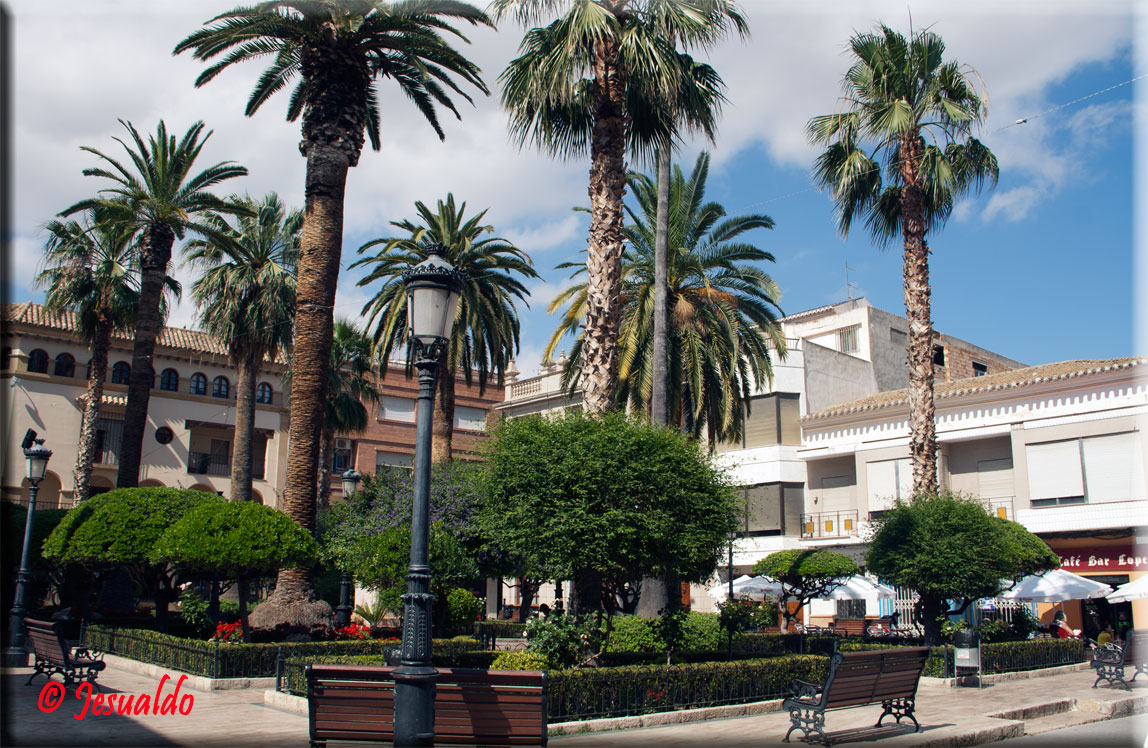 Fotografias: Huércal Overa (Almeria) España