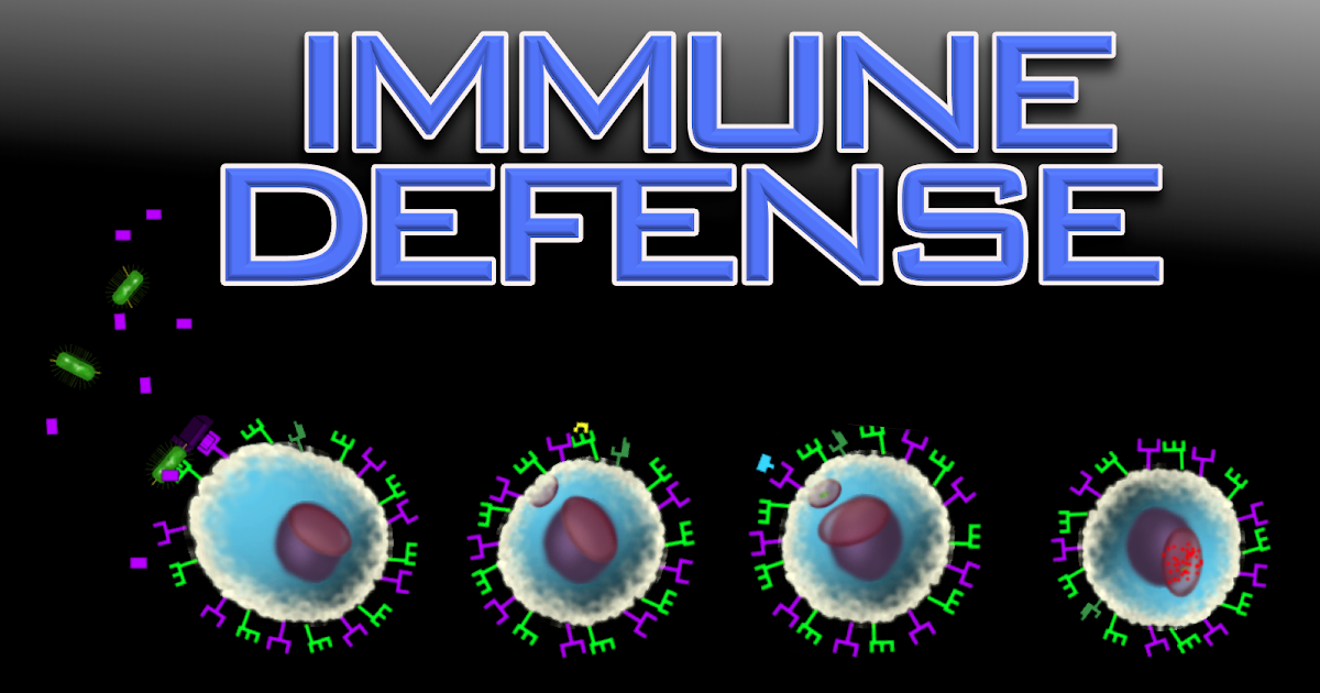 Serious Games Increasing Knowledge of Molecular Behavior