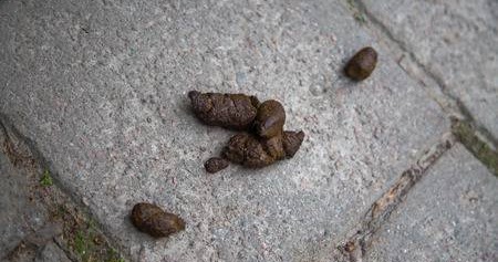 Cum să câștigi garantat 100% la loto