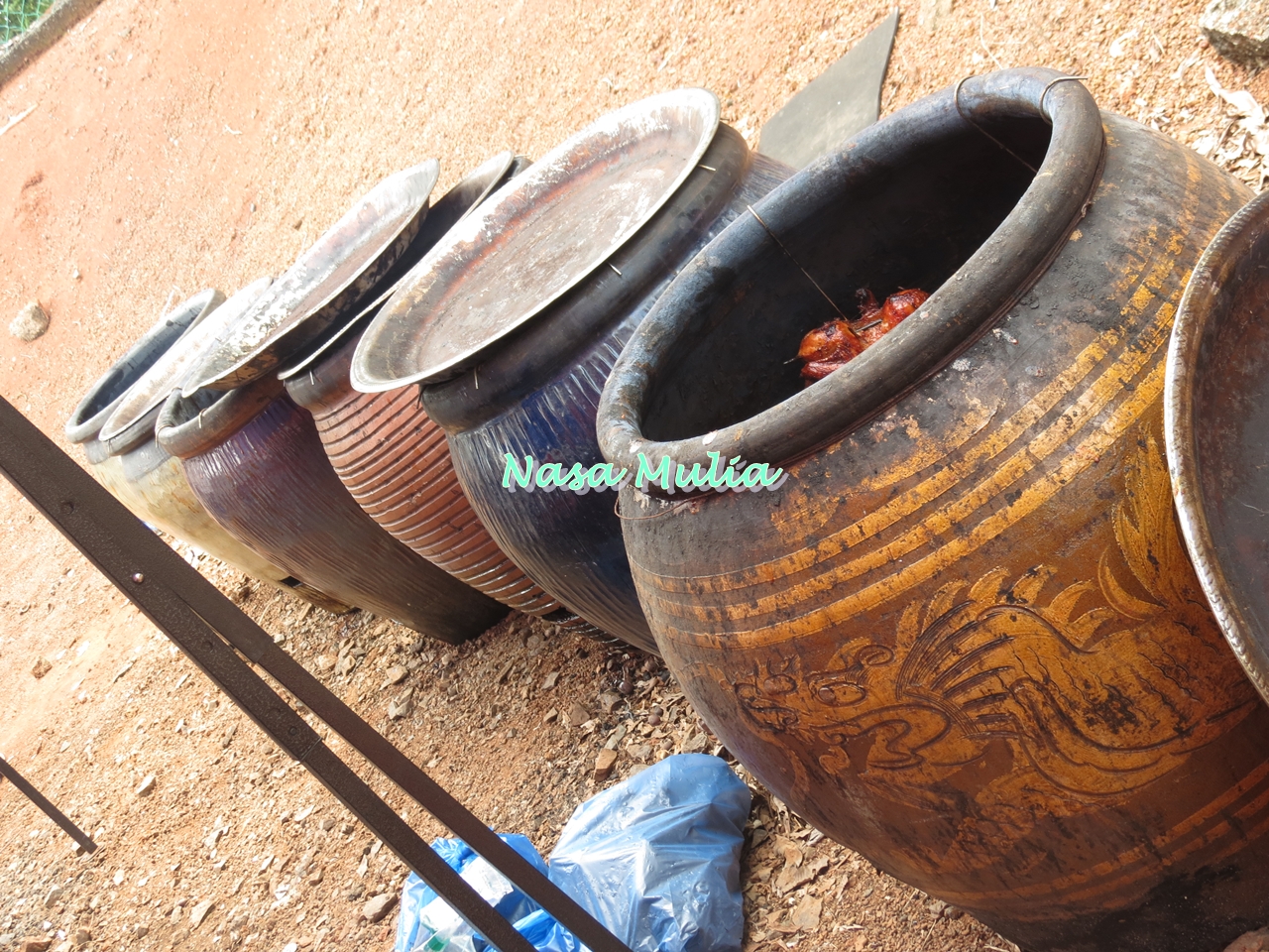 warna warni hidupku..............: Ayam Tempayan