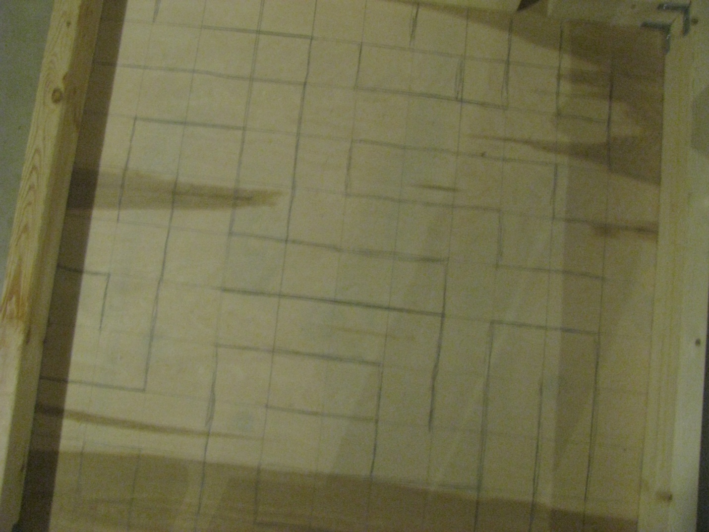 Project Mouse Maze: The Story of the Maze