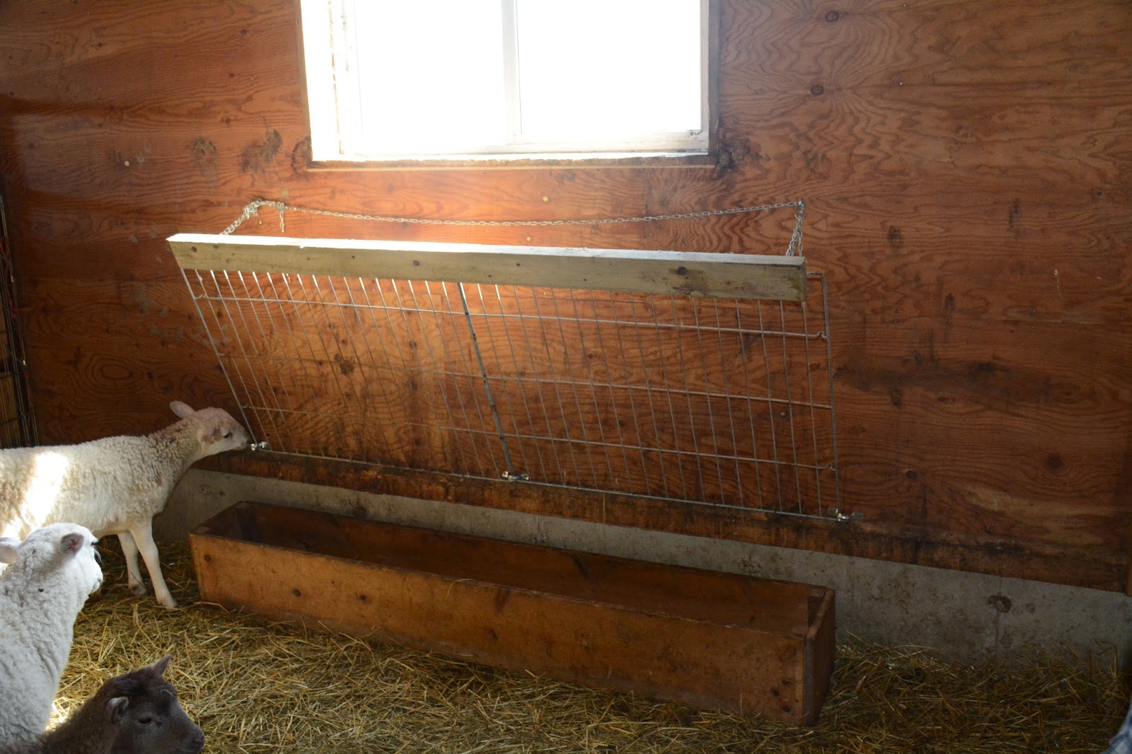 Farmer Peg: Quick and Easy Hay Feeder