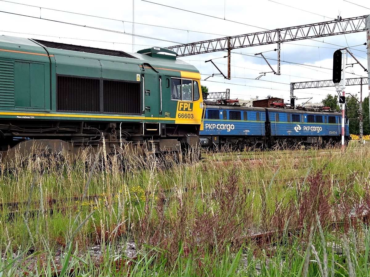 Firmowy pociąg FPL na stacji Kielce Herbskie: Class 66604 z węglarkami ...