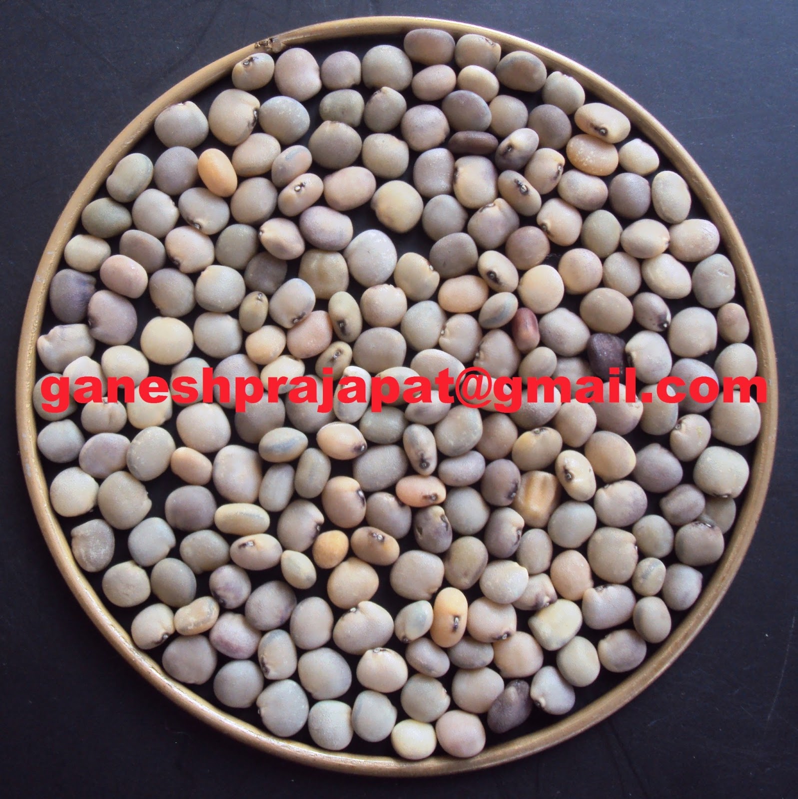 GUAR GUM INFORMATION AND GUAR GUM CULTIVATION IN INDIA: What is making ...