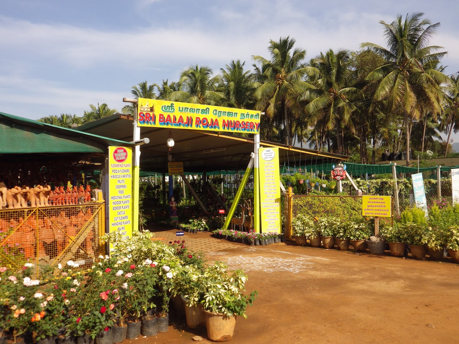 SRI BALAJI ROJA NURSERY: ABOUT SRI BALAJI ROJA NURSERY