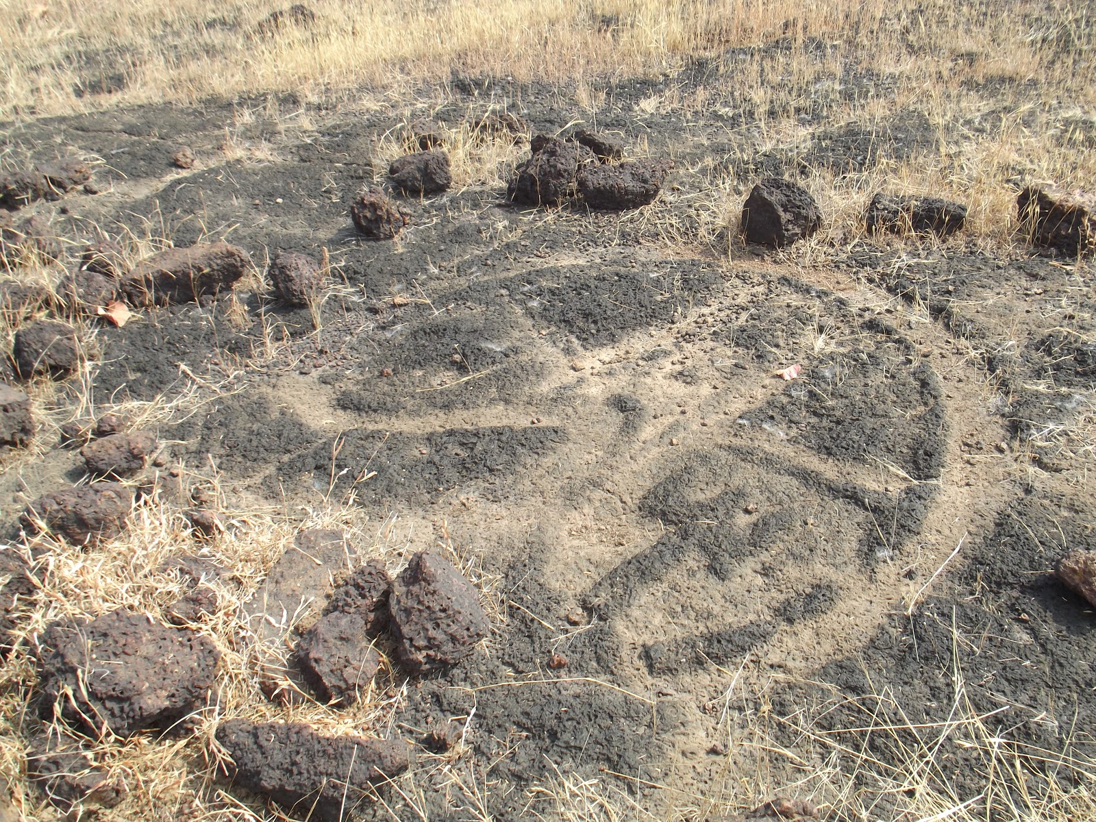 डोंगर भाऊ ( Dongar Bhau ): Offbeat Kokan गुढरम्य कातळशिल्प (Rock art ...