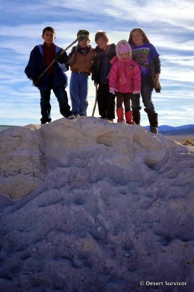 Desert Survivor: Adventure Walk with a Problem-Solving Obstacle