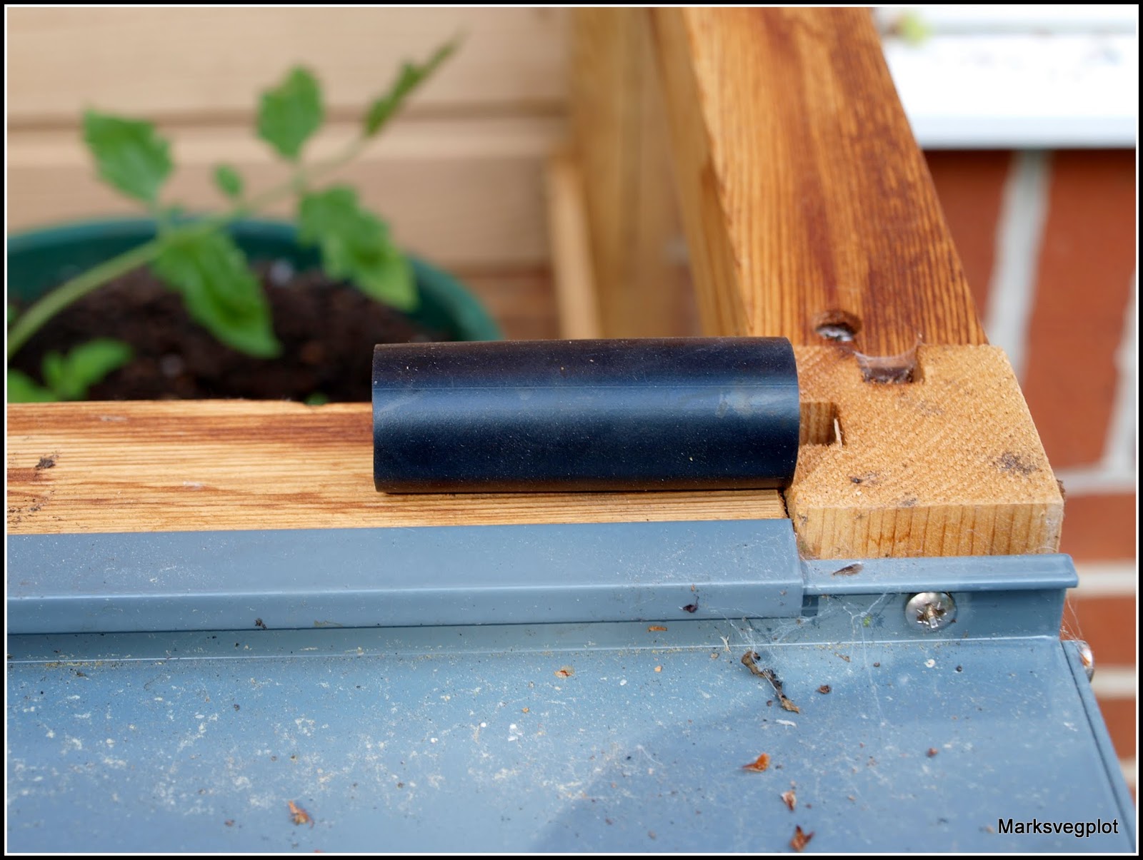 Mark's Veg Plot: Softening the edges