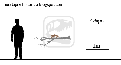 Mundo Pré-Histórico: Adapis, um dos primeiros primatas
