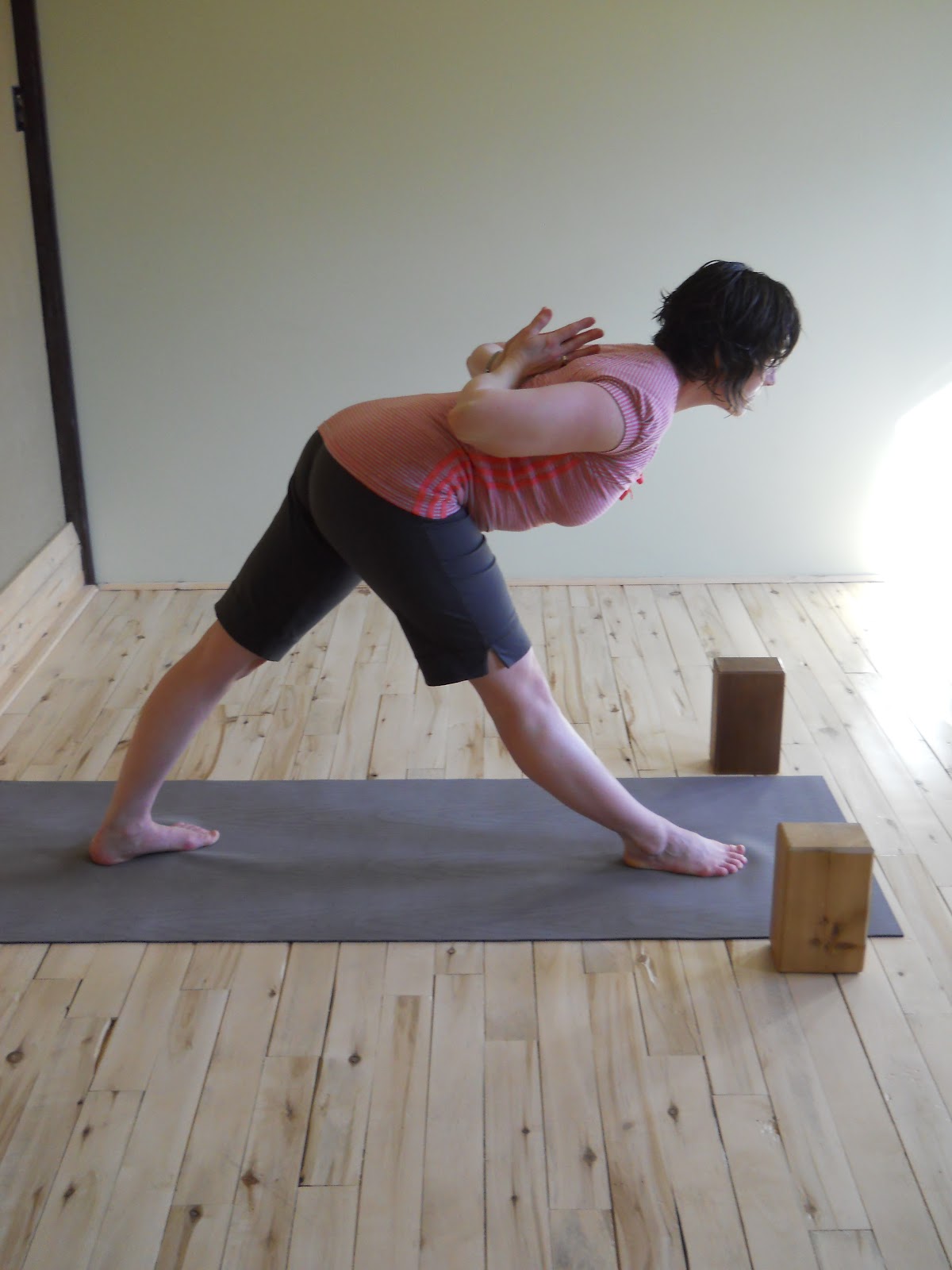 PLN Yoga Studio - Pamela Nelson: April Pose of the Month - Parsvottanasana