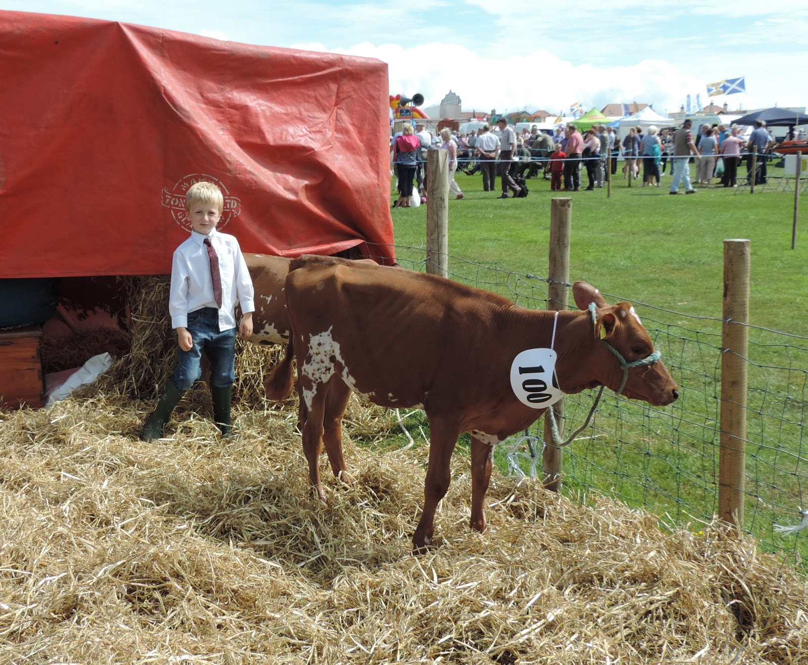 The Glebe Blog: The Stranraer Show 2013