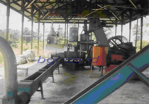 Investasi Kelapa Sawit: Pembangunan Pabrik Kelapa Sawit Mini