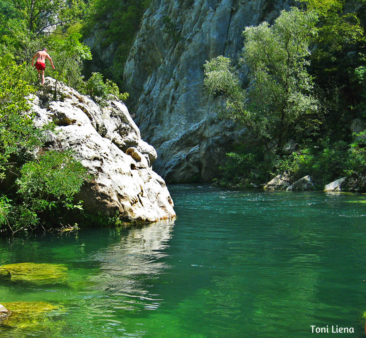 Hrvatski Pjesnici: CETINA