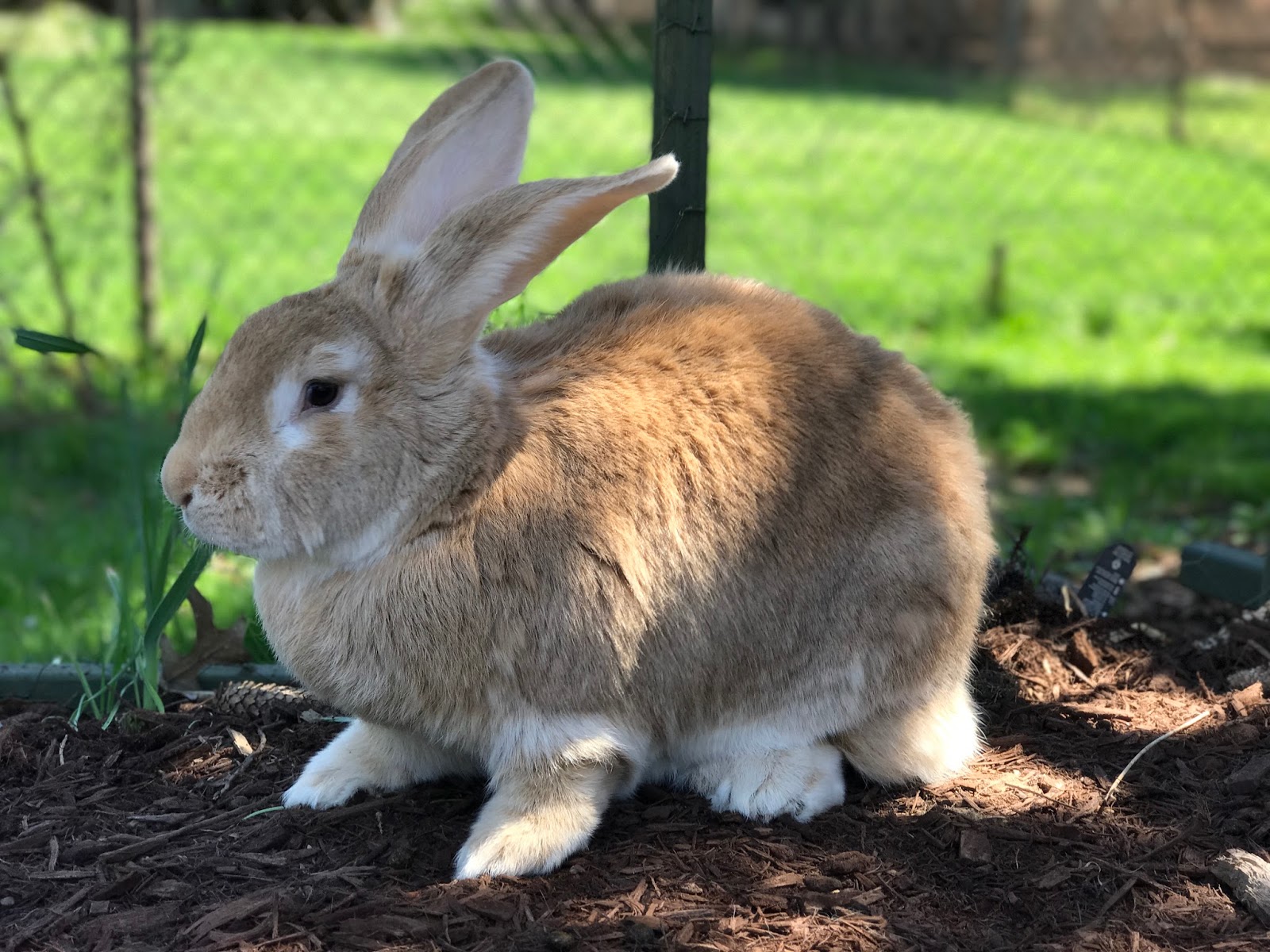 Natascha's Inspirations: Happy Birthday Sweet Boy