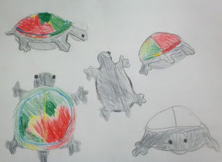 Art With Mr. E: Turtley Points of View/Perspective: 4th Grade