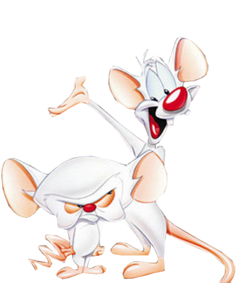 1000+ images about Pinky and the Brain on Pinterest