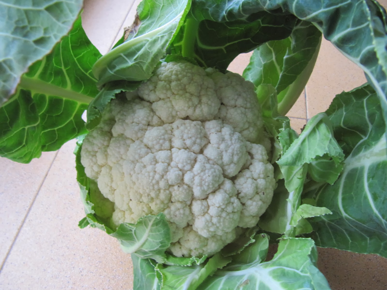 COSICAS Y MÁS: COL DE FLOR