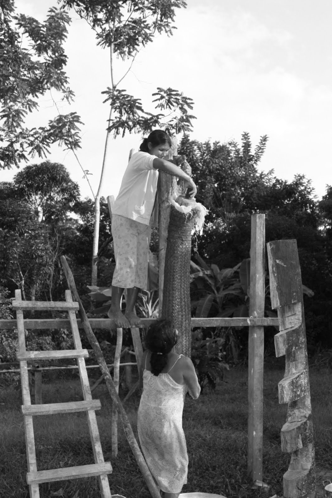 Abstracción y mito: el mundo indígena en Venezuela: Procesamiento de la ...