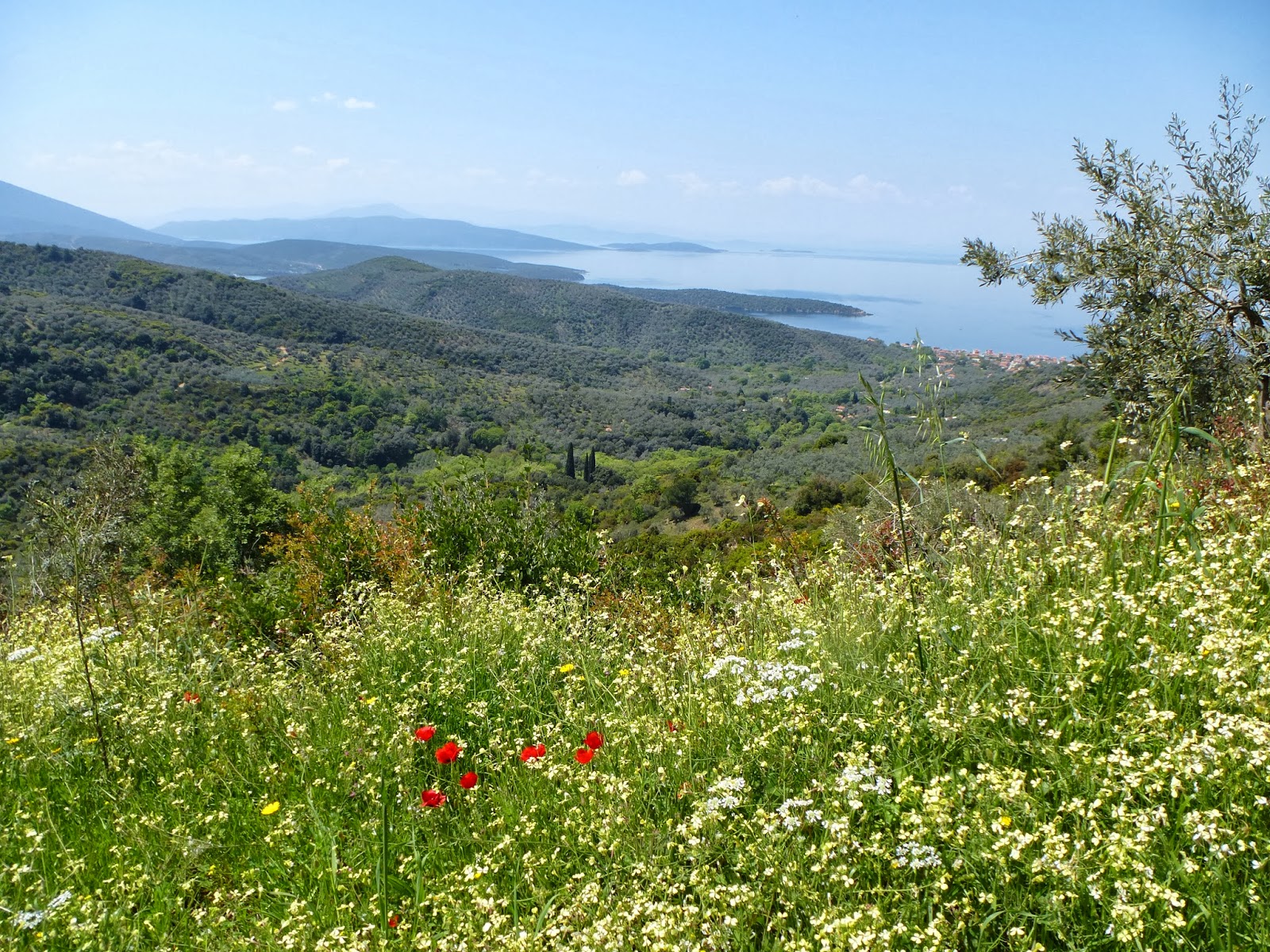 Walking in Pelion: Lafkos-Platanias (westerly route)