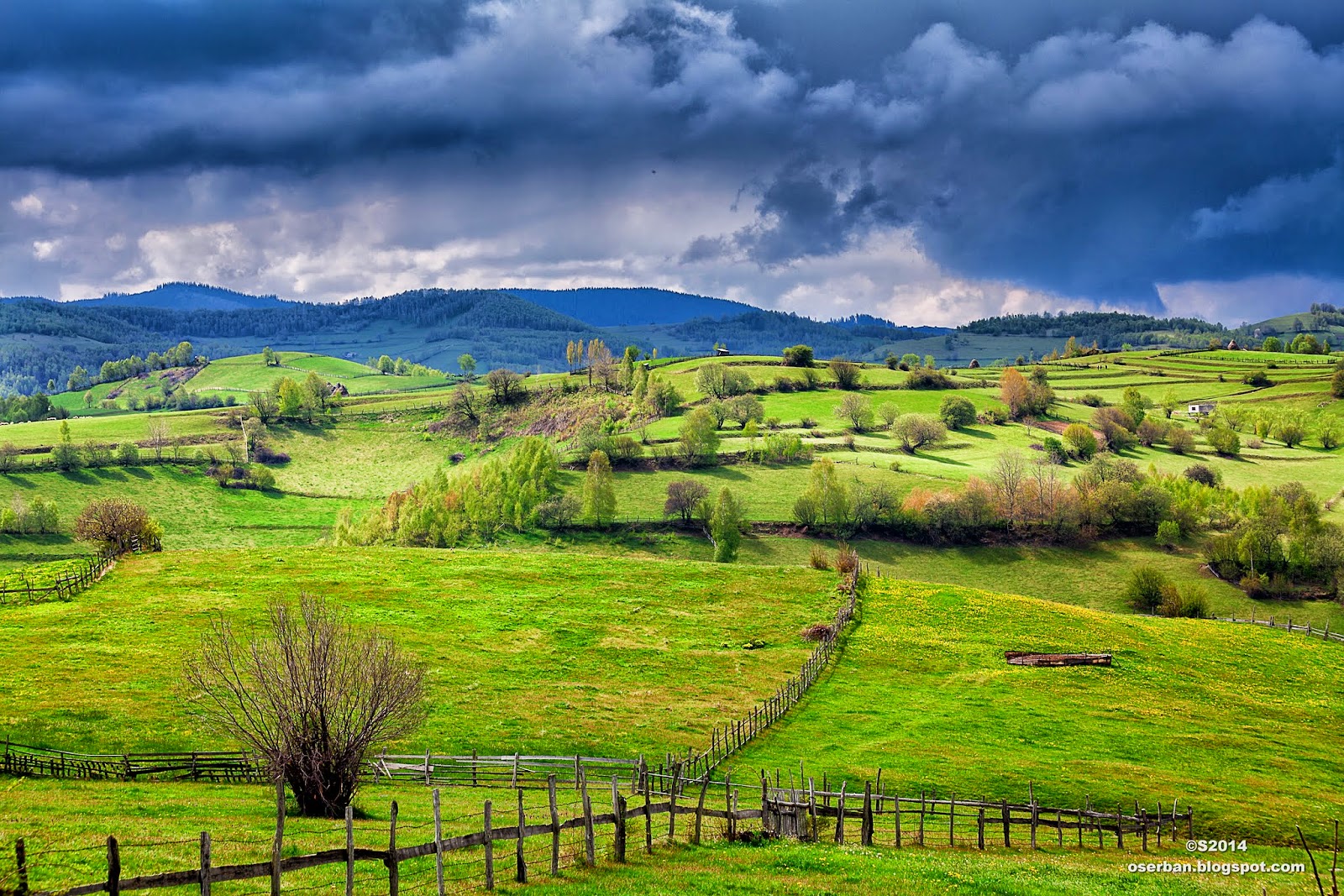 Octavian Serban: Somewhere in Romania...spring time...