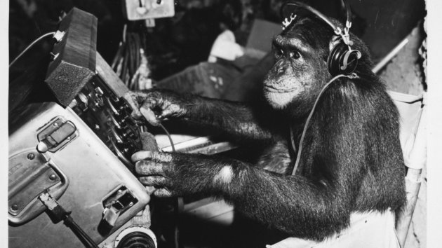 W. M'sia Ham Radio Station - 9M2ESM (EX-9W2ESM): Animal & Ham Radio