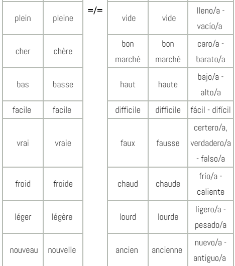 La formation des adjectifs en français