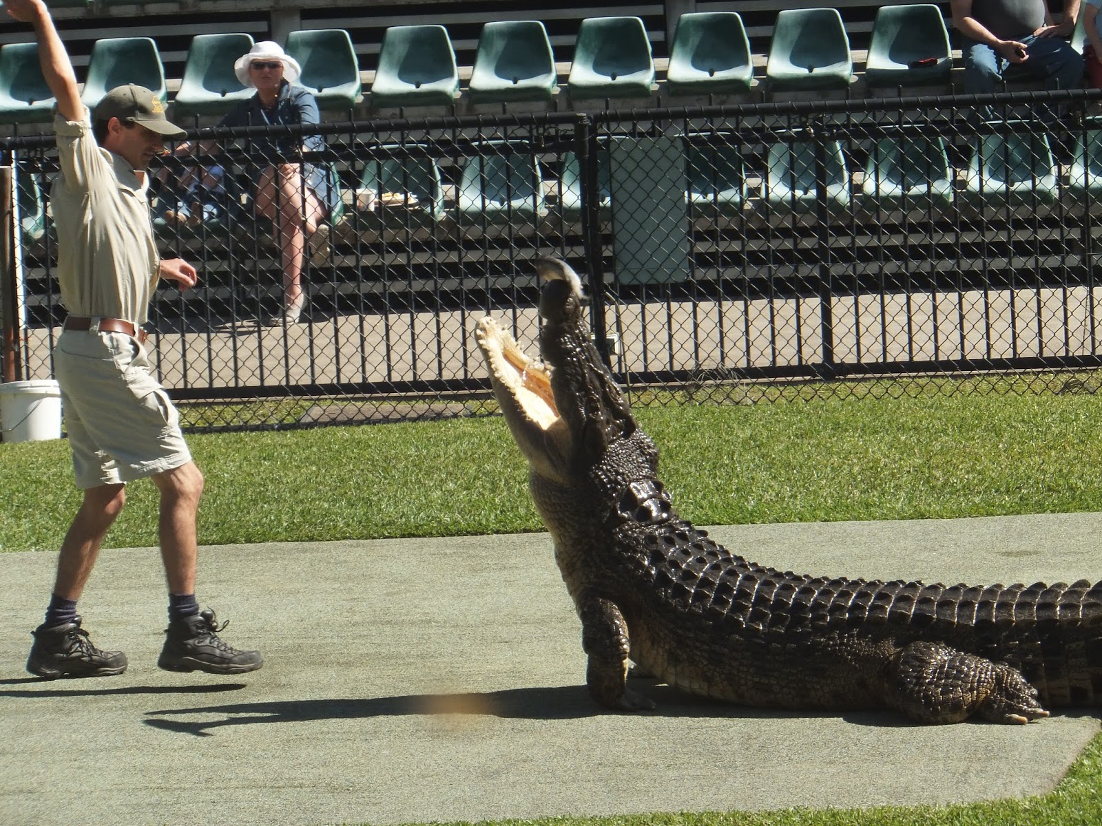 Ramsdens Ramblings: CRIKEY! Australia Zoo!