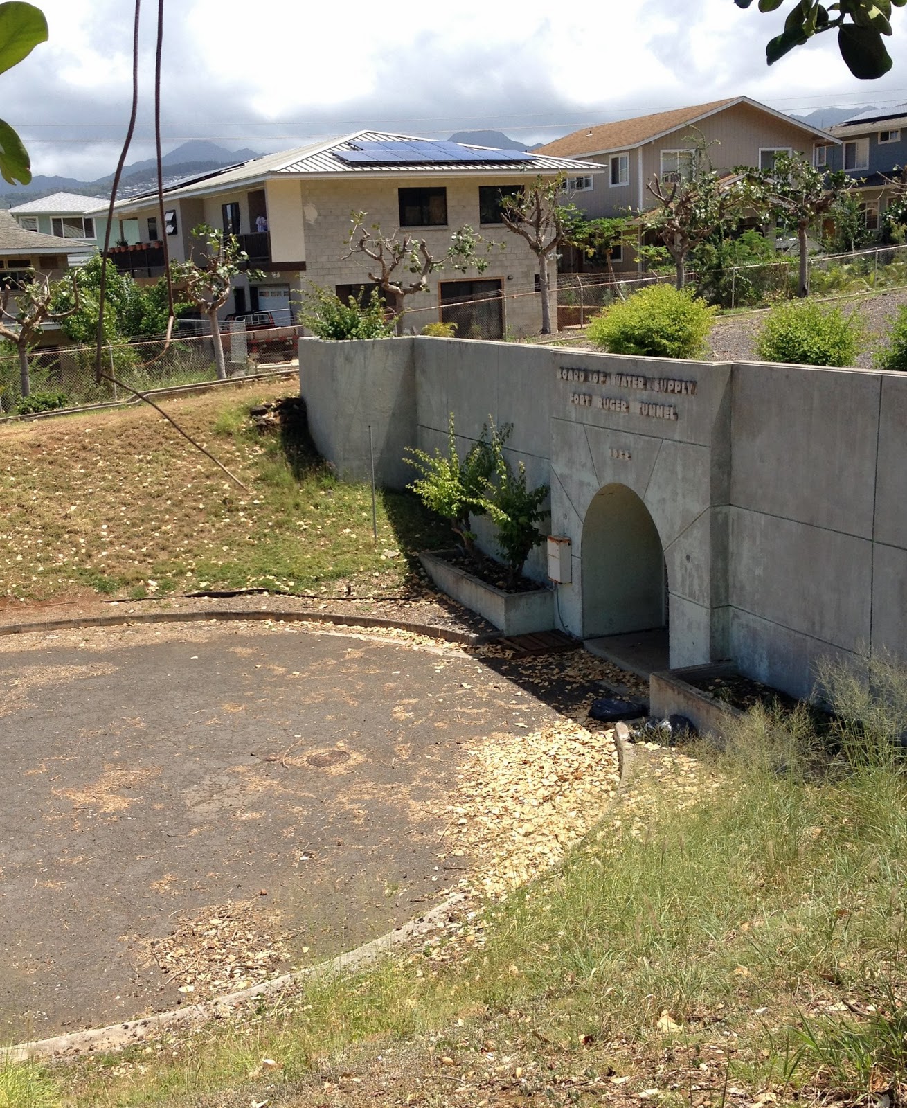 The Walking Hawaiian