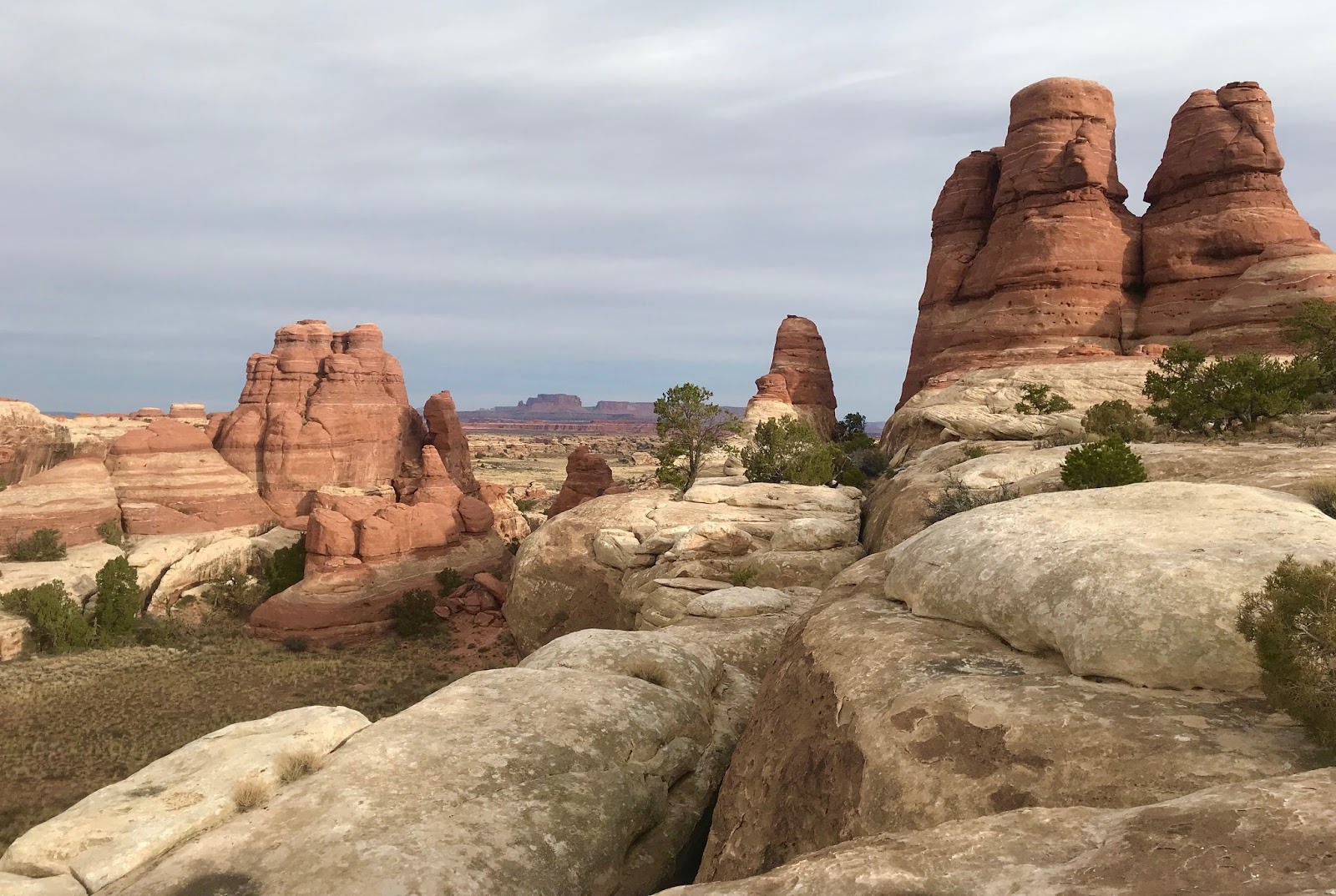 Rambling Hemlock: Grabens in the Needles