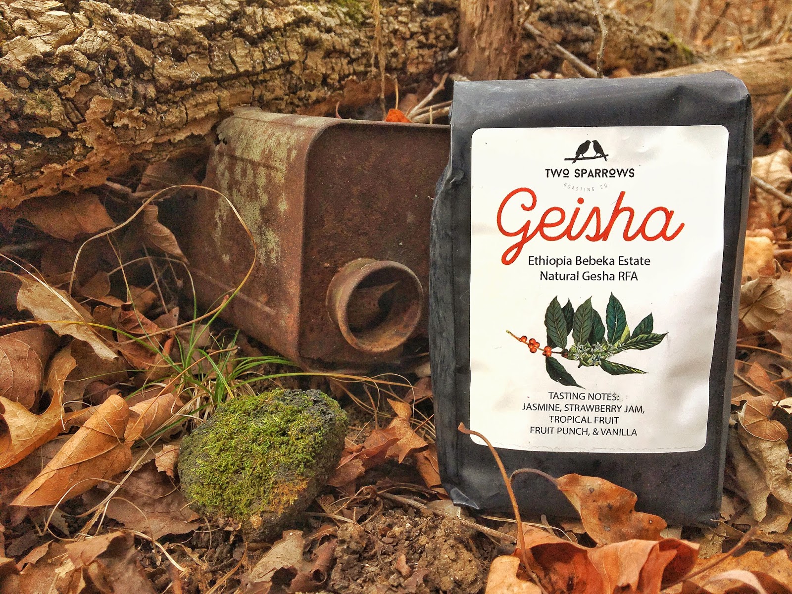 Two Sparrows Ethiopia Bebeka Estate Natural Geisha