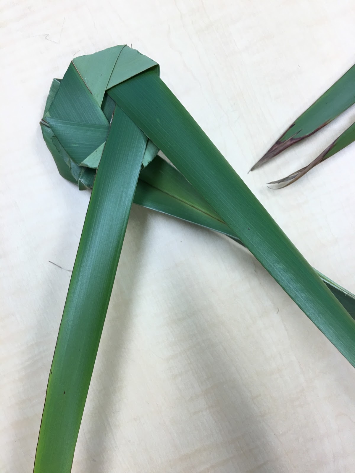 adi & bert: Weaving a harakeke putiputi