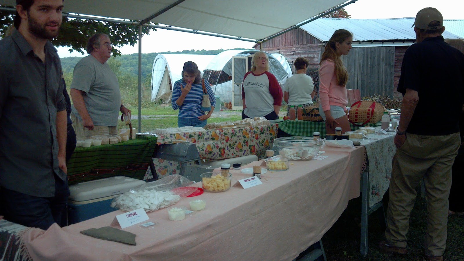 Albany Dish: The Washington County Cheese Tour